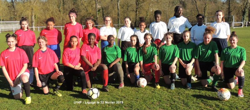 Stages de Détection U13G-U14G-U14F – DISTRICT DE LA VIENNE DE FOOTBALL